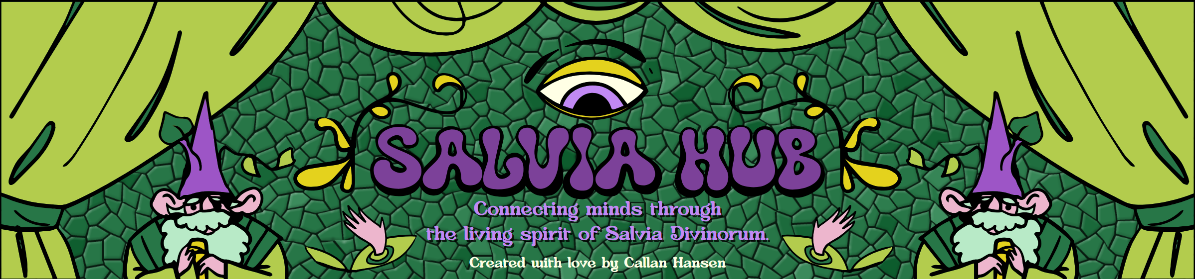 What is Salvia Divinorum? Everything You Need to Know | Salvia Hub